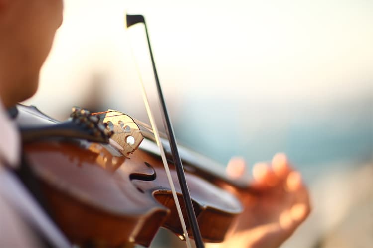 Sunday Baroque With Suzanne Bona Wrcj 909 Fm